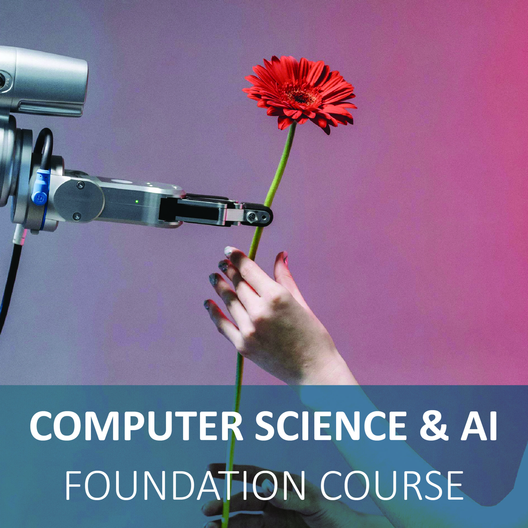 New Foundation Courses | Sixth Form Cambridge | St Andrews College